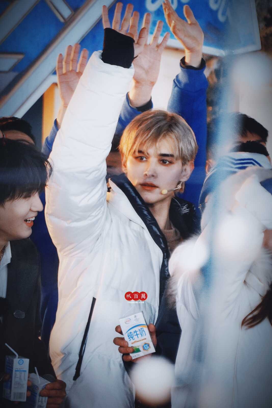 Lelush Wallpapers (23 images) - WallpaperCat