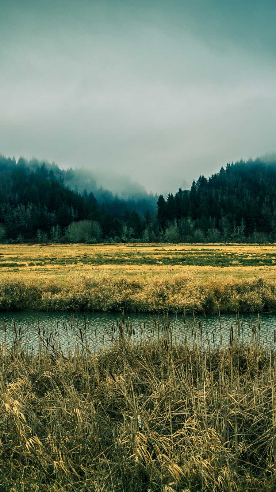 Oregon Wallpapers (45 images) - WallpaperCat