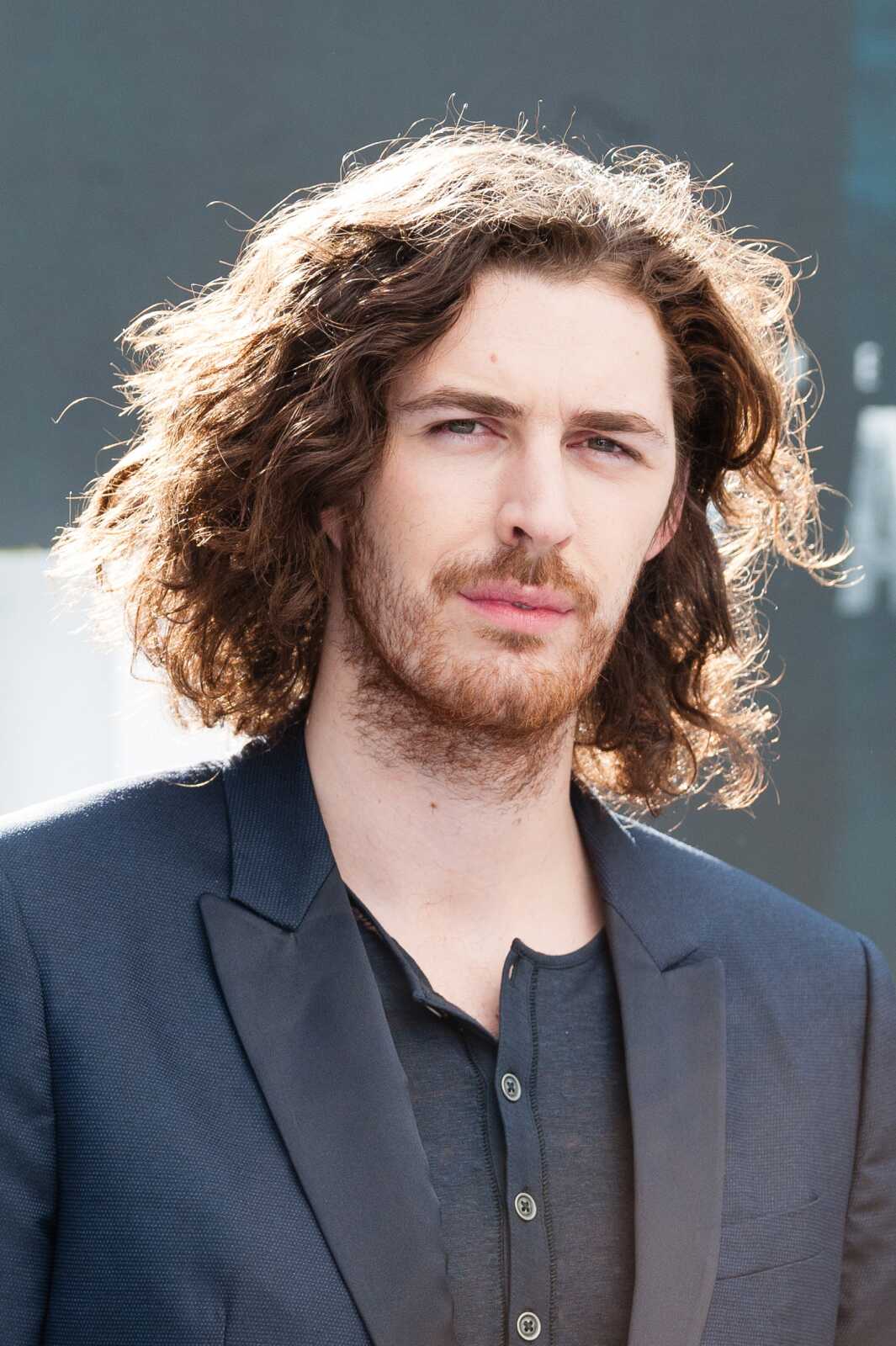 Hozier Wallpapers (30 images) - WallpaperCat