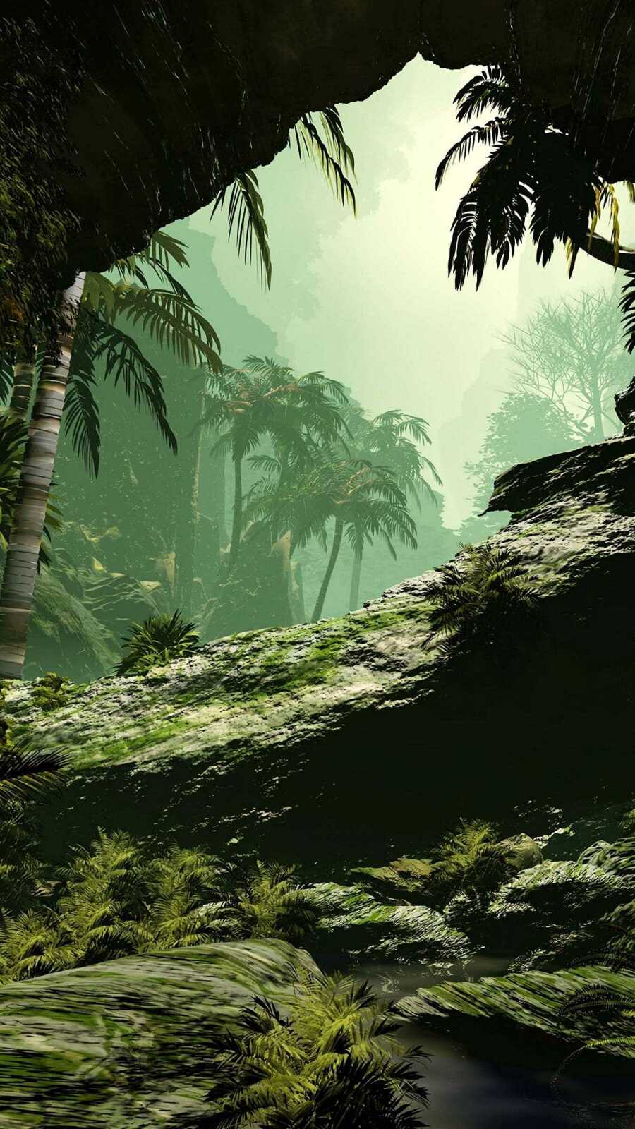 Rainforest Wallpapers (109 images) - WallpaperCat