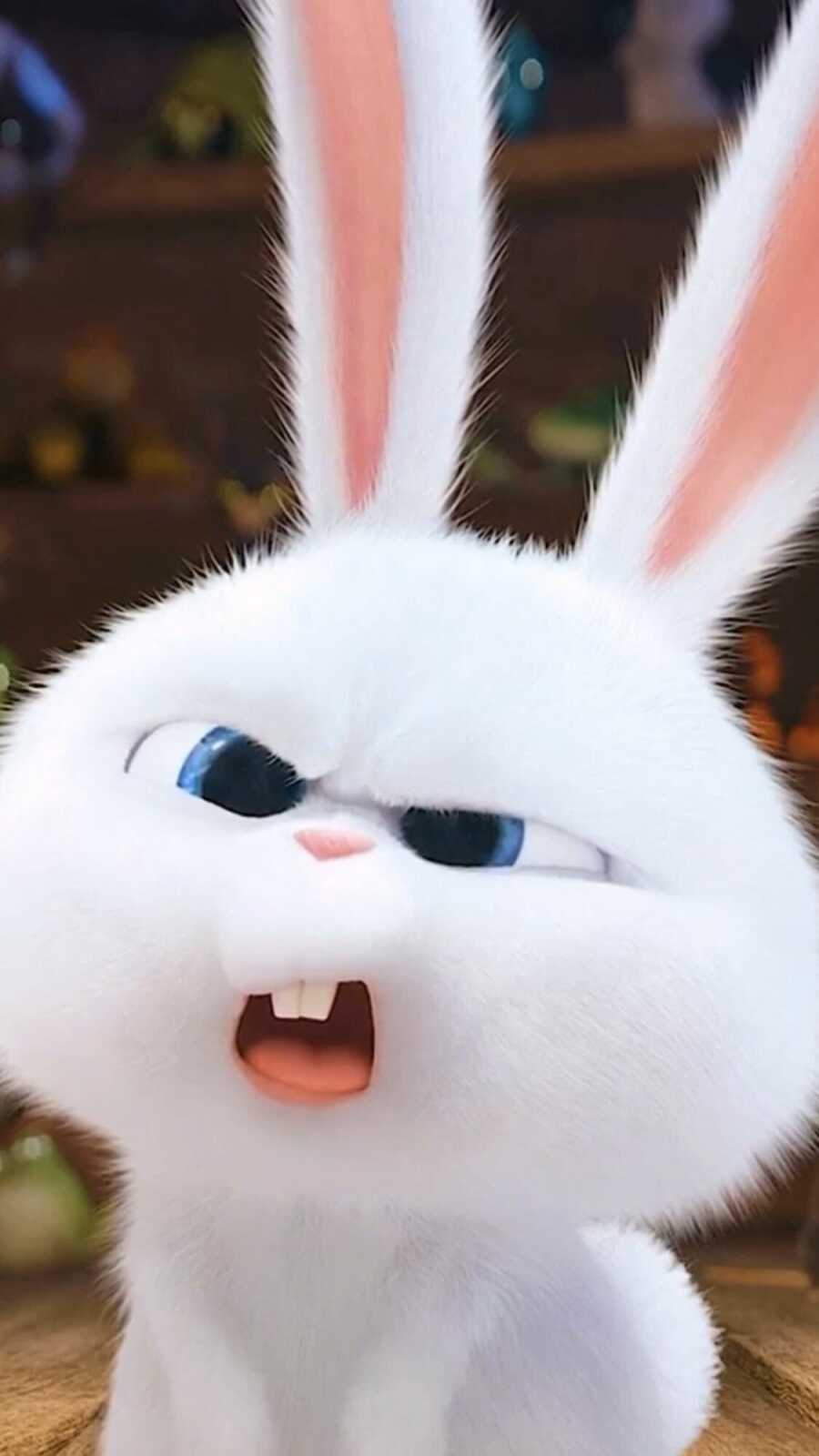Rabbit Wallpapers (64 images) - WallpaperCat