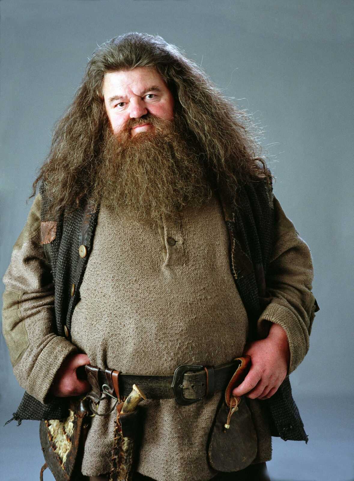 Hagrid Wallpapers (24 images) - WallpaperCat
