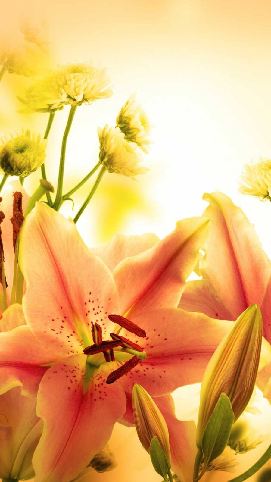 Lily Wallpapers (52 images) - WallpaperCat