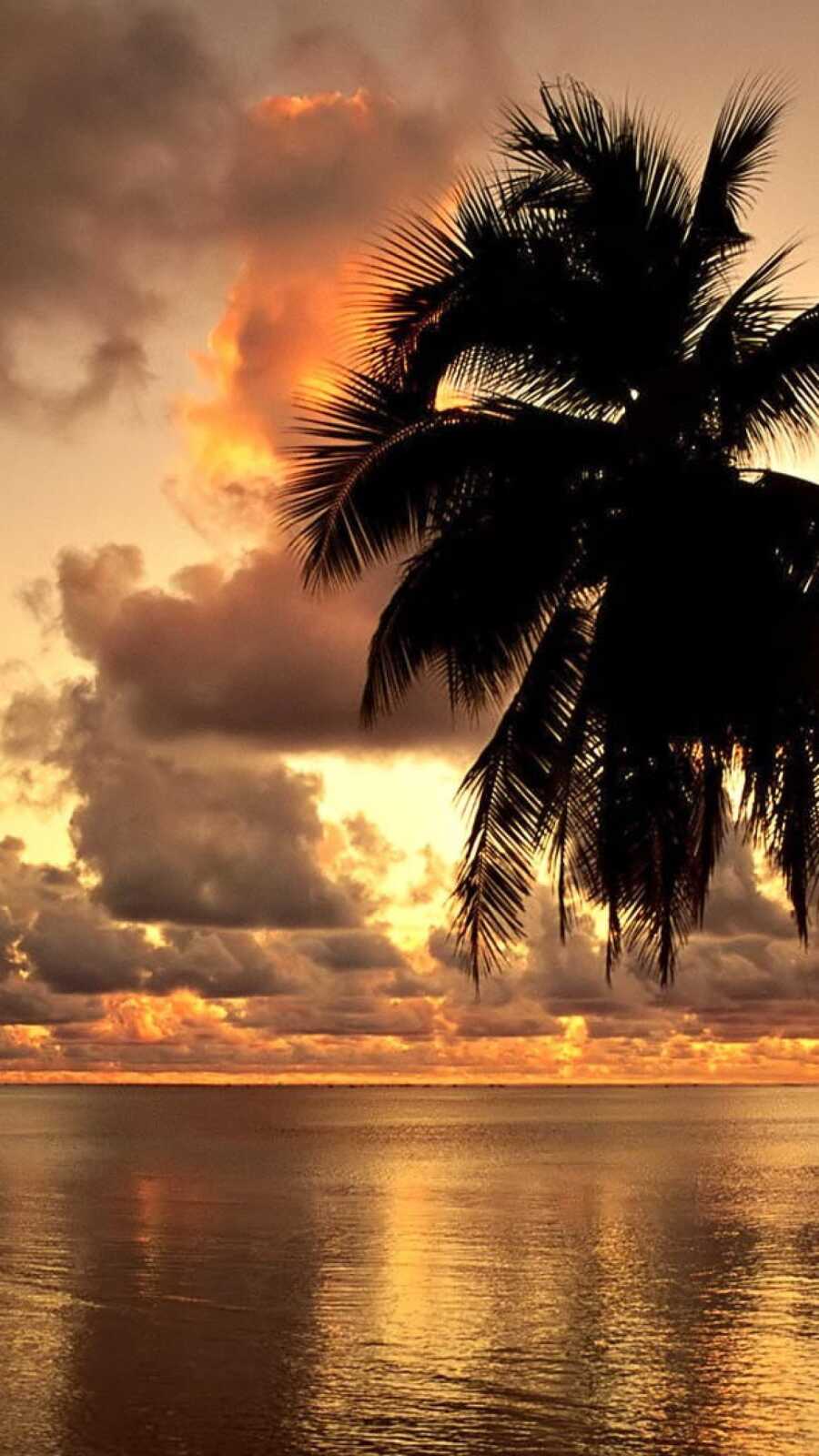 Hawaii Wallpapers (69 images) - WallpaperCat