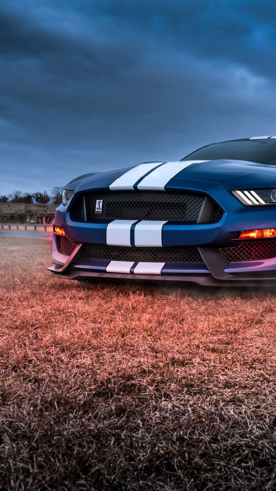 GT500 Wallpapers (41 images) - WallpaperCat