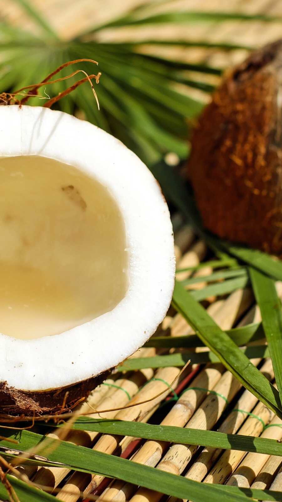 Coconut Wallpapers (46 images) - WallpaperCat