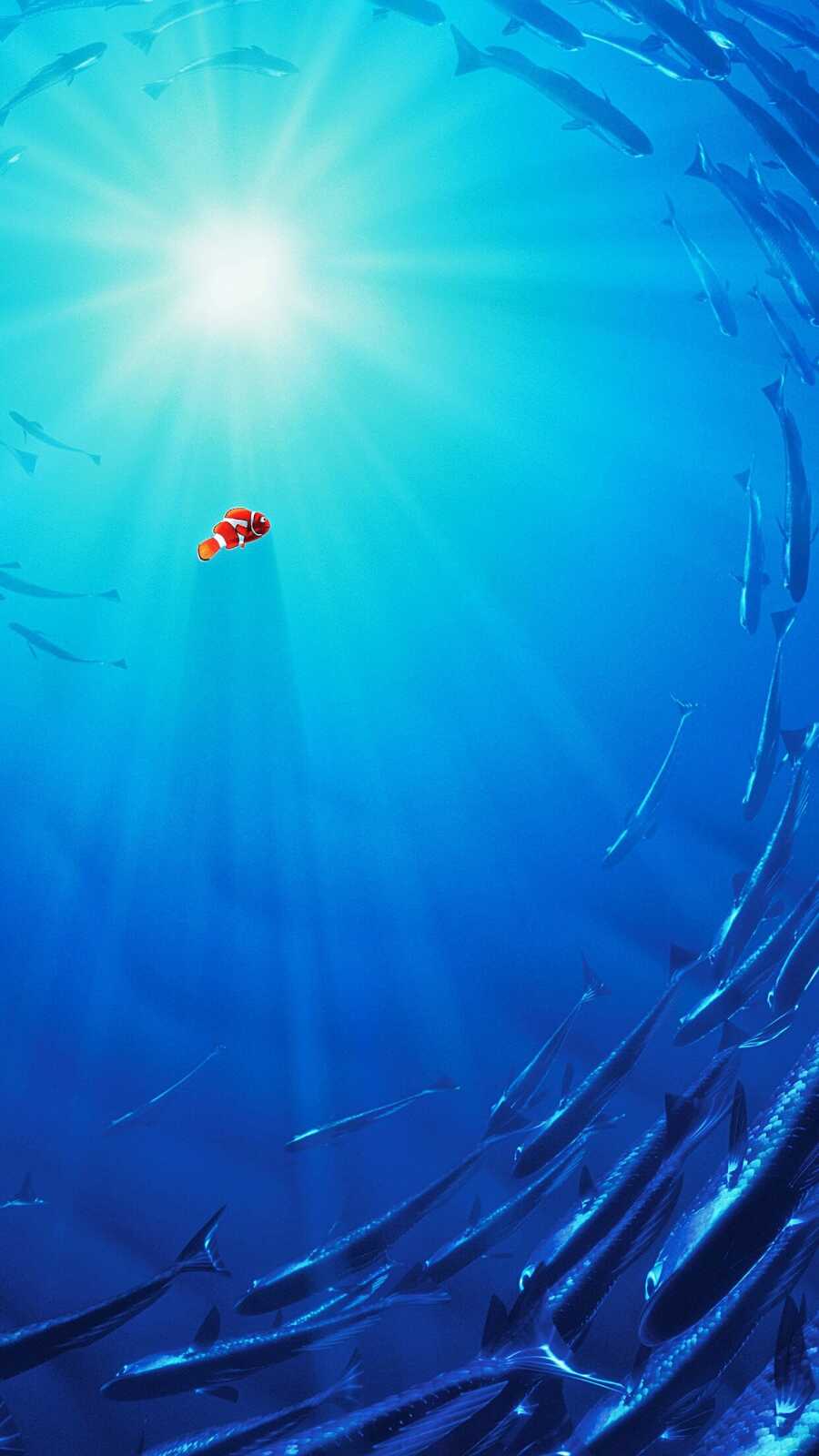 Finding Nemo Wallpapers (25 images) - WallpaperCat