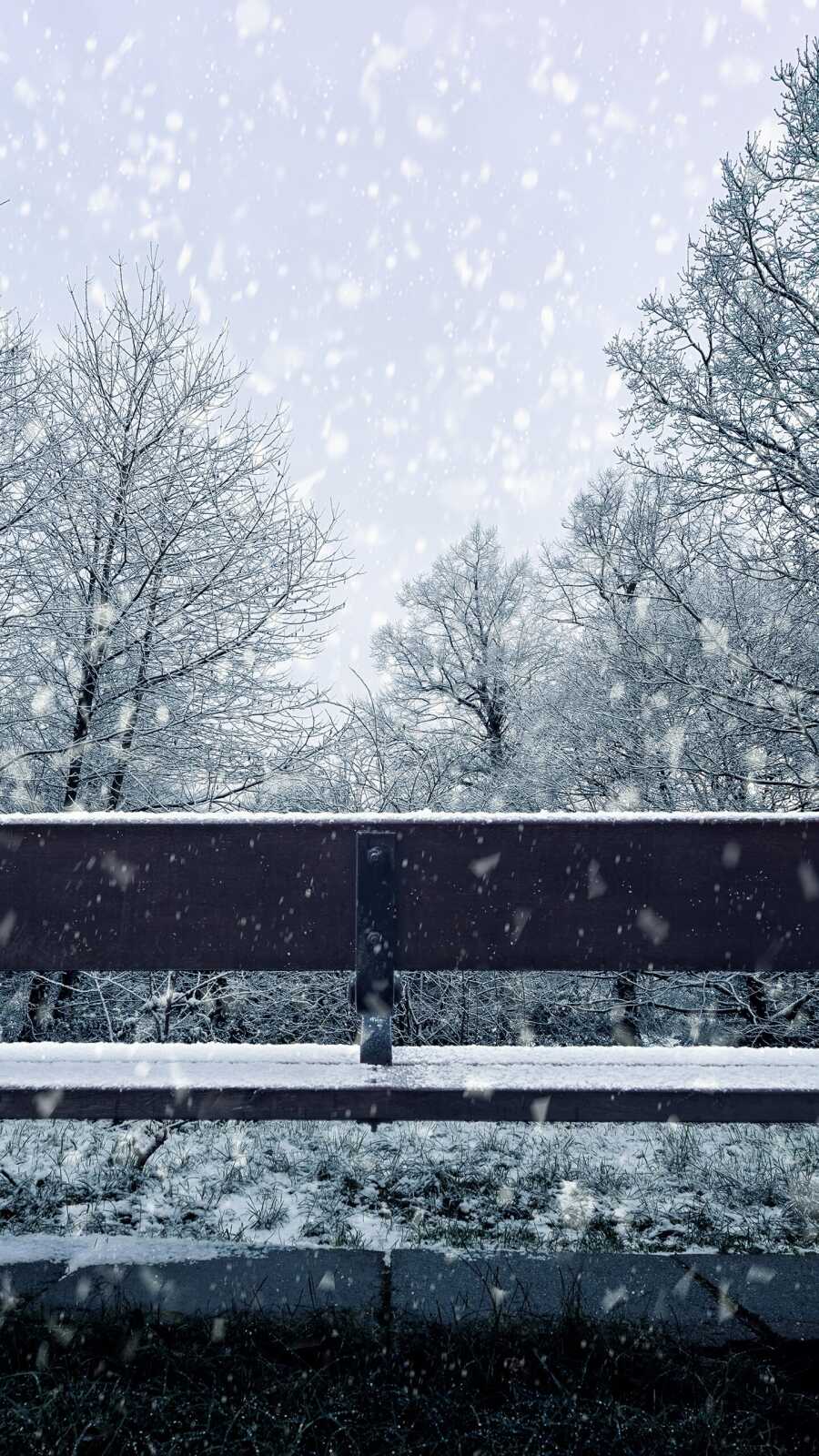 Snowfall Wallpapers (28 images) - WallpaperCat