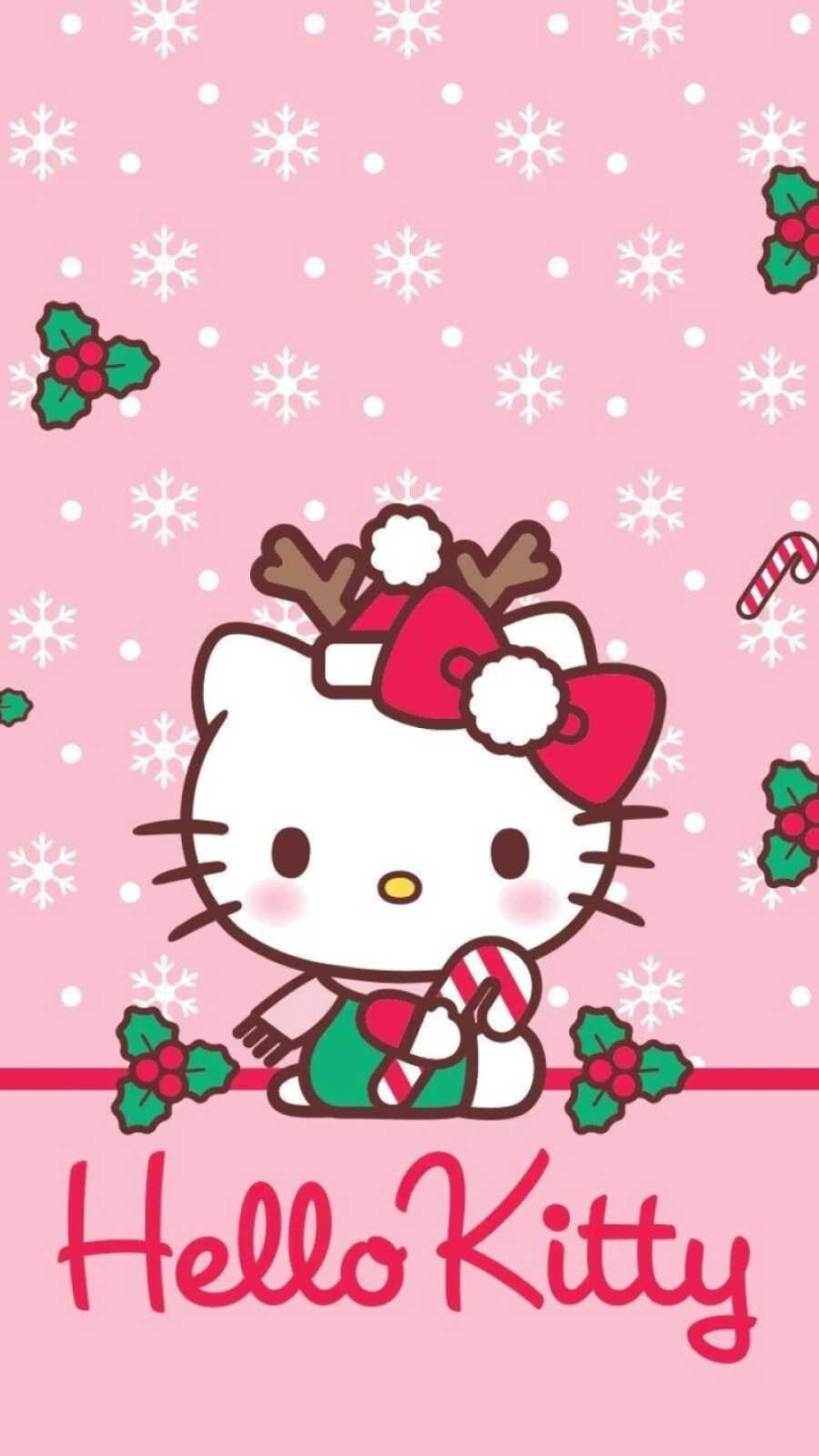 Hello Kitty Christmas Wallpapers (16 images) - WallpaperCat