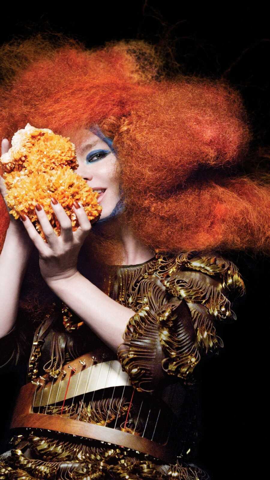 Bjork Wallpapers (27 images) - WallpaperCat