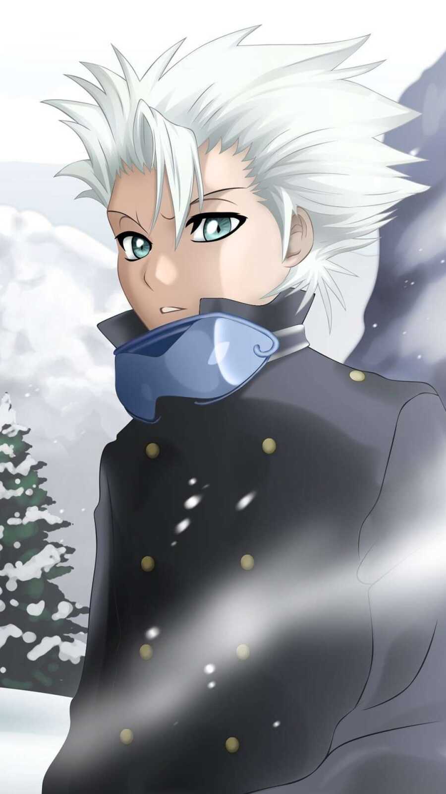 Hitsugaya Wallpapers (25 images) - WallpaperCat