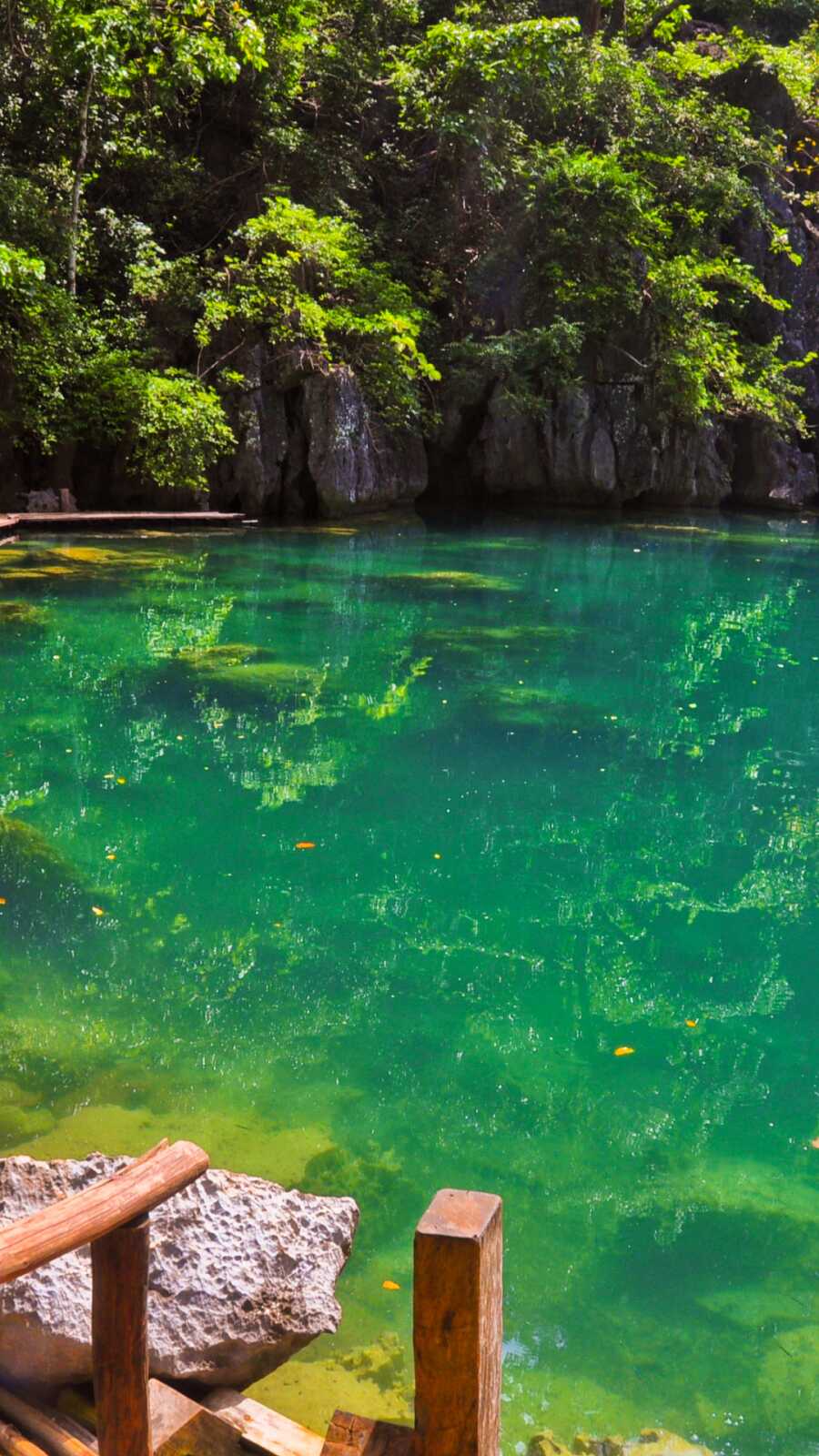 Palawan Wallpapers (76 images) - WallpaperCat