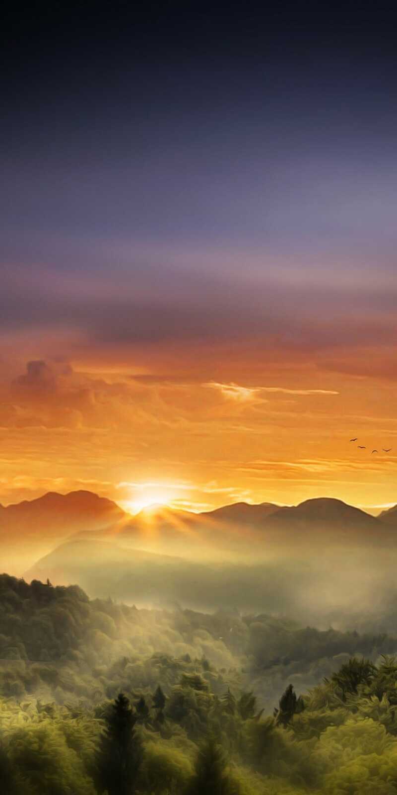 Sunrise Wallpapers (103 images) - WallpaperCat