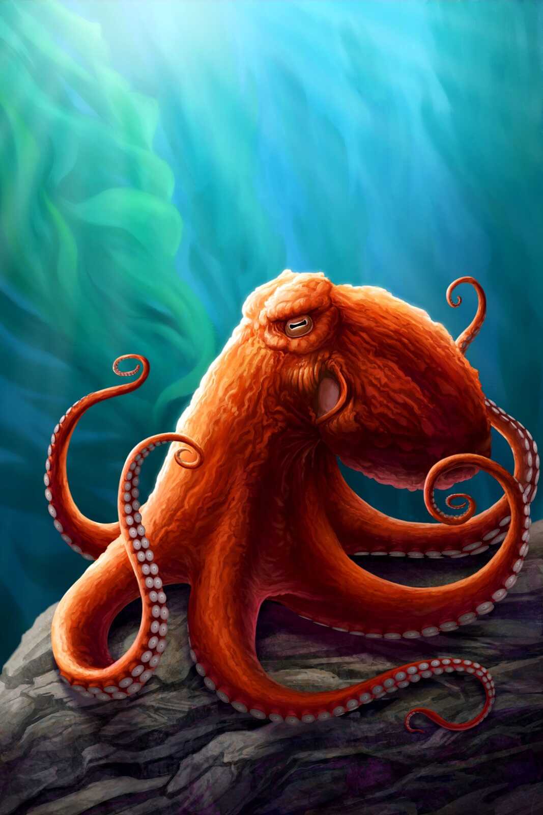 Octopus Wallpapers (24 images) - WallpaperCat