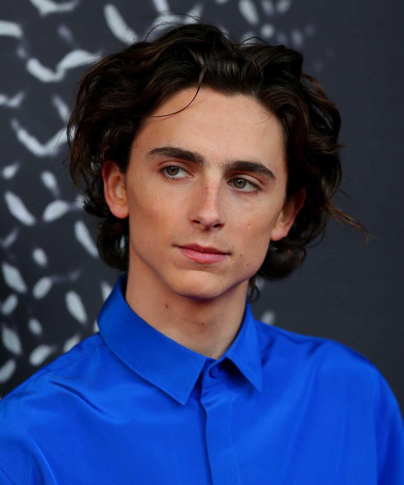 Timothee Chalamet Wallpapers (42 images) - WallpaperCat