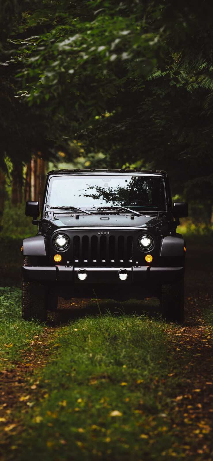 Jeep Wrangler Wallpapers (50 images) - WallpaperCat