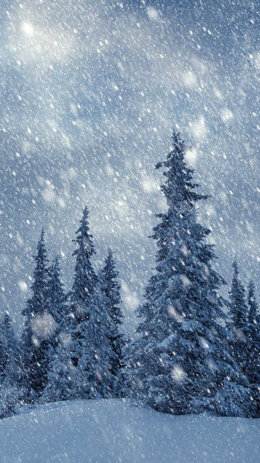 Snowfall Wallpapers (28 images) - WallpaperCat