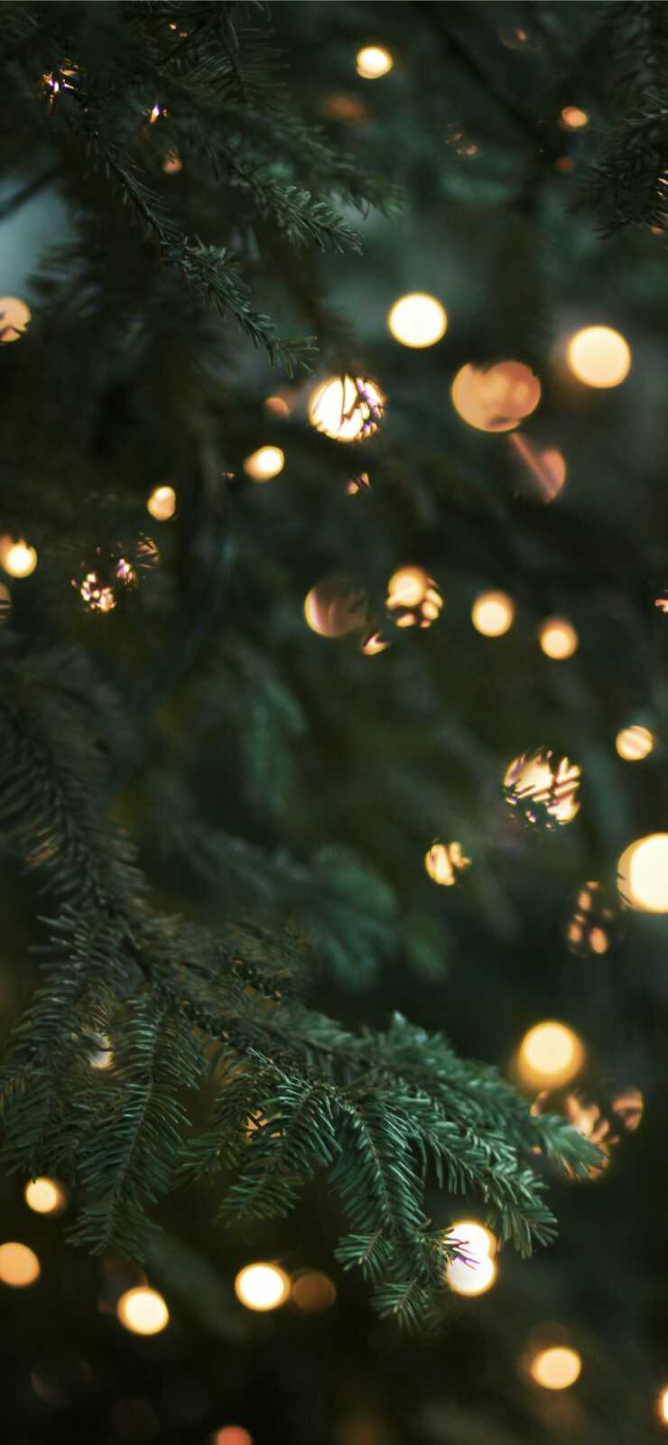 Fairy Lights Wallpapers (64 images) - WallpaperCat