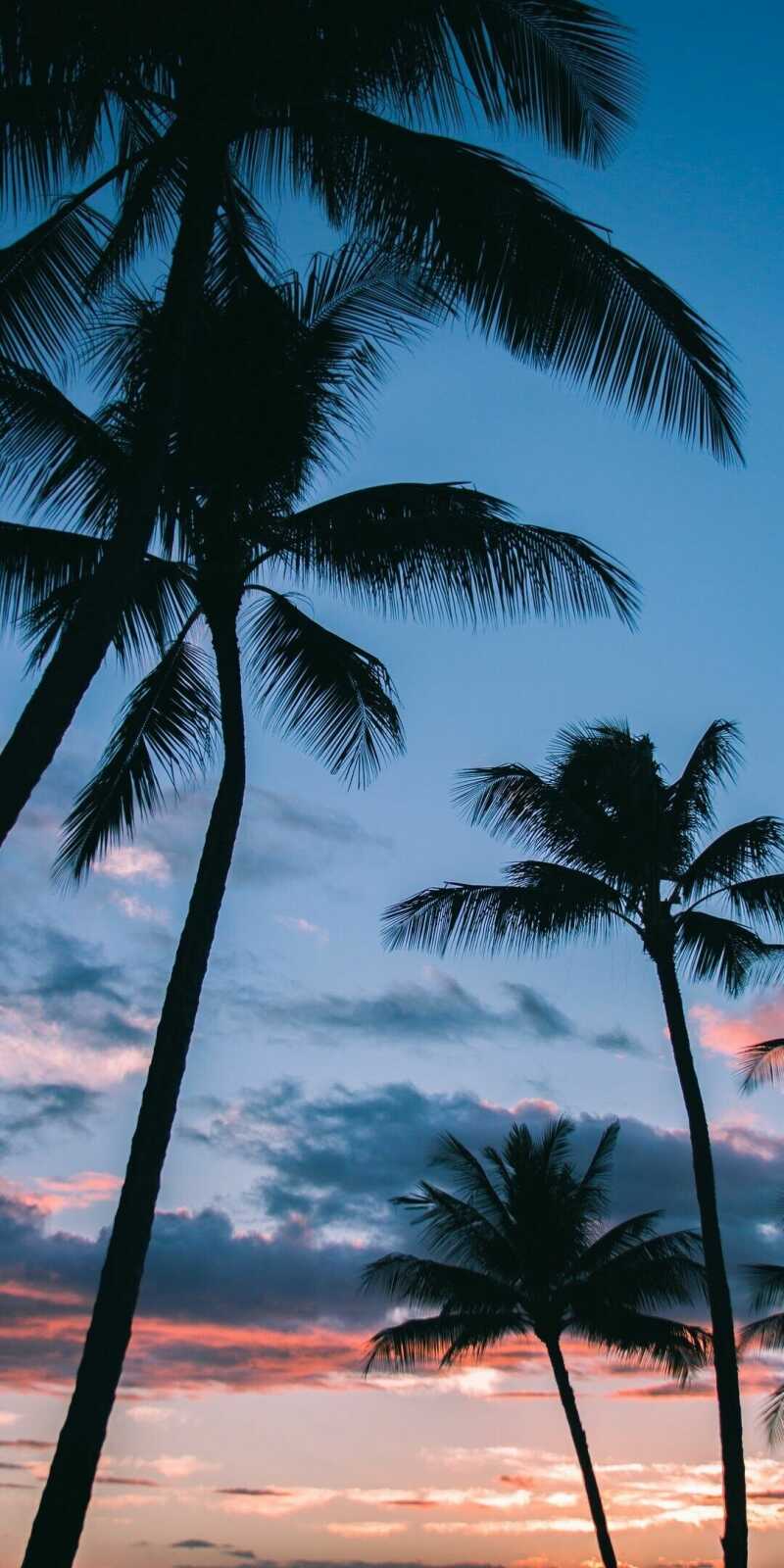 Summer Wallpapers (99 images) - WallpaperCat