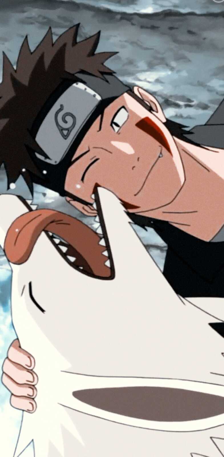 Kiba Inuzuka (Naruto) Wallpapers (25 images) - WallpaperCat