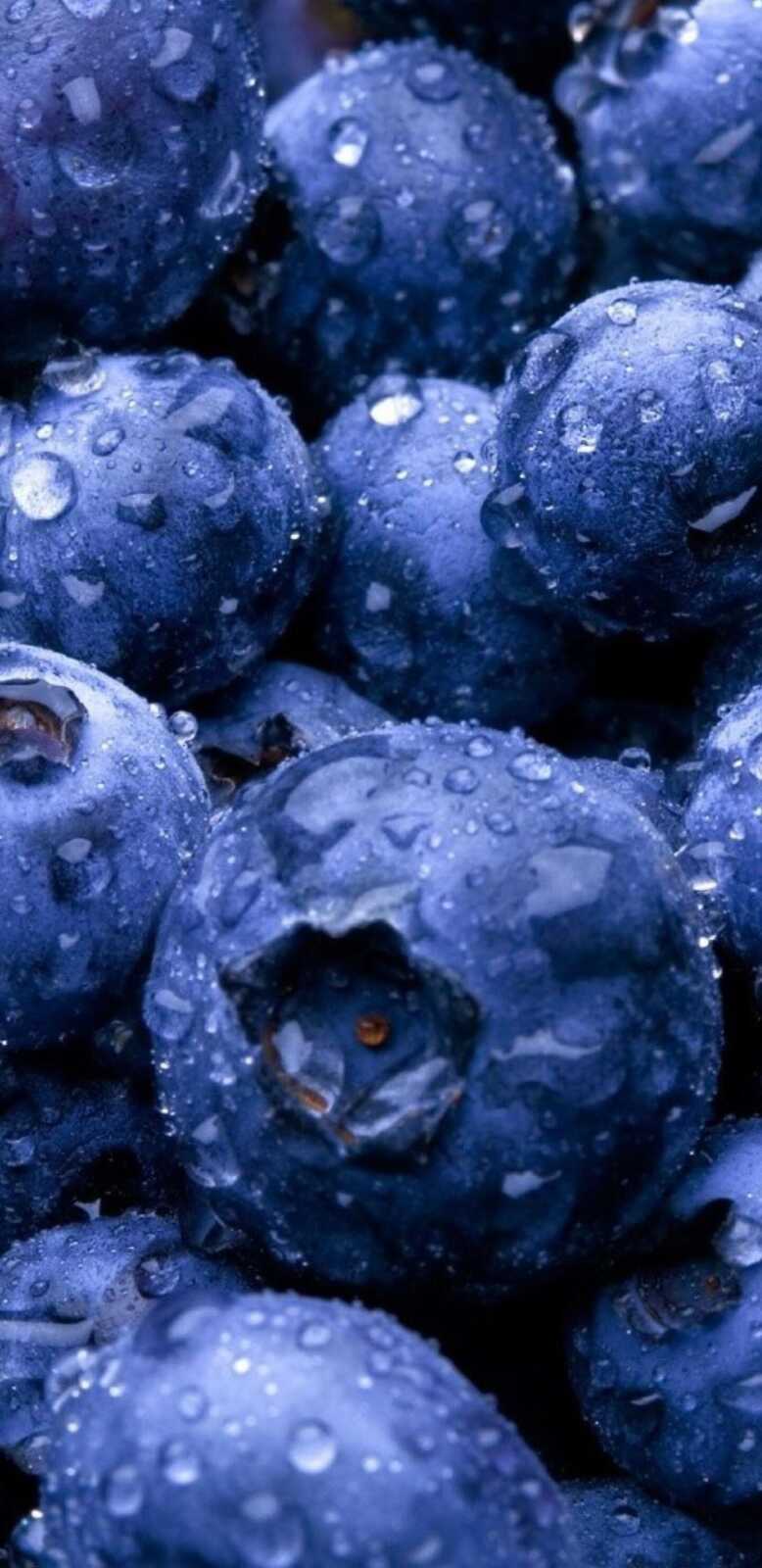 Huckleberry Wallpapers (29 images) - WallpaperCat