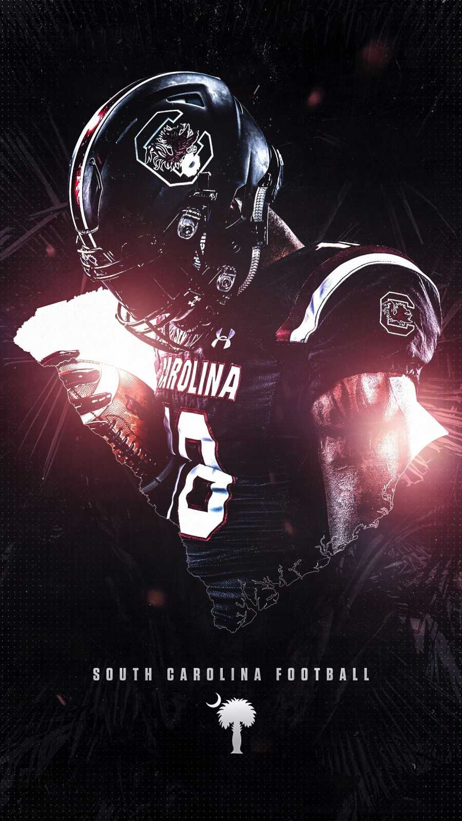 Gamecocks Wallpapers (31 images) - WallpaperCat