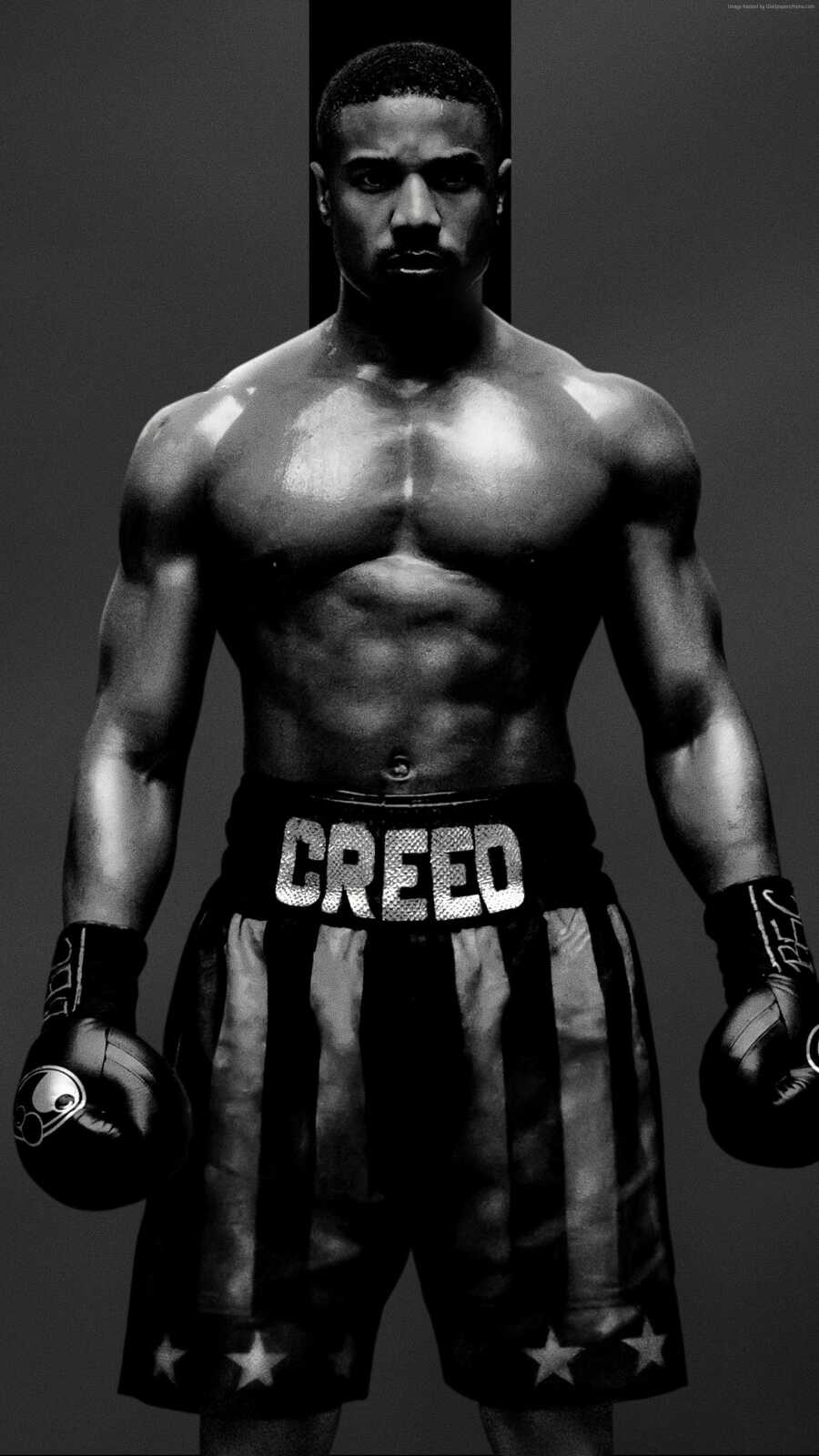 Creed (Movie) Wallpapers (16 images) - WallpaperCat