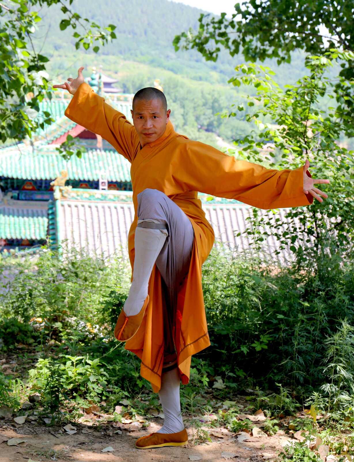 Shaolin Kung Fu Wallpapers (21 images) - WallpaperCat