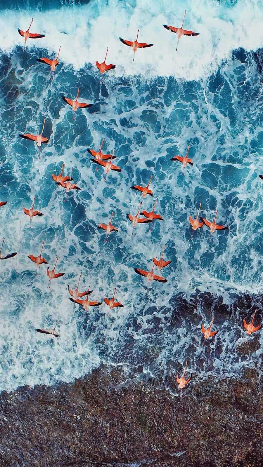 Venezuela Wallpapers (17 images) - WallpaperCat