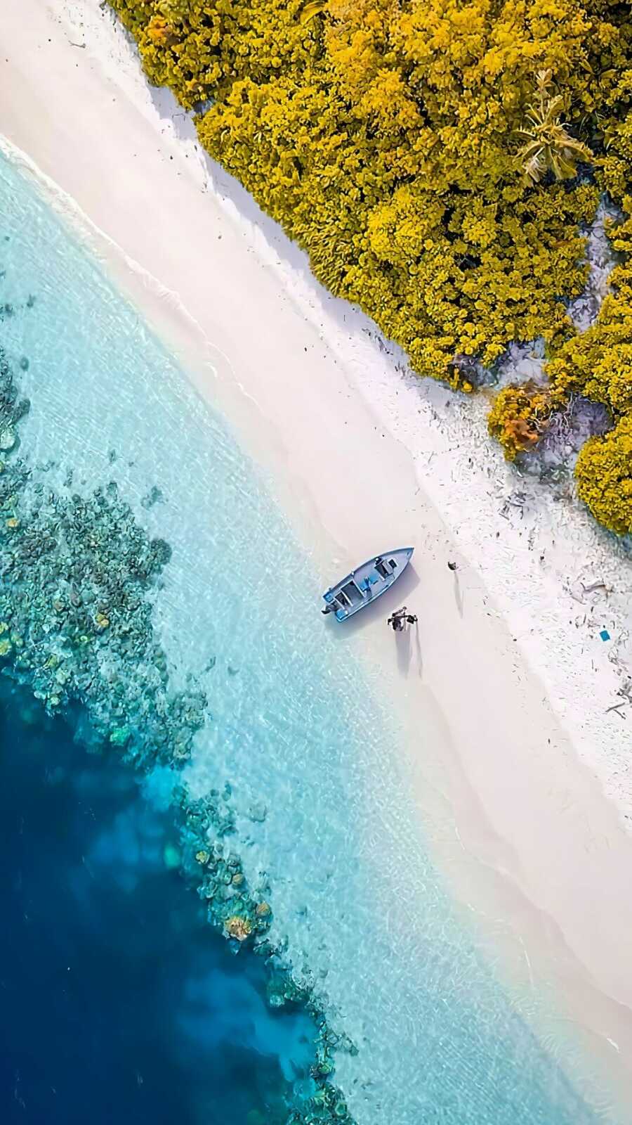 Beach Wallpapers (35 images) - WallpaperCat