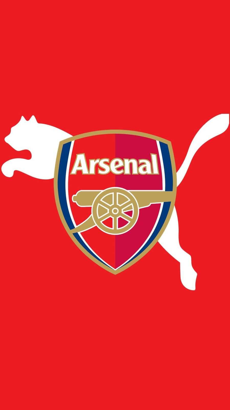 Arsenal FC Wallpapers (55 images) - WallpaperCat