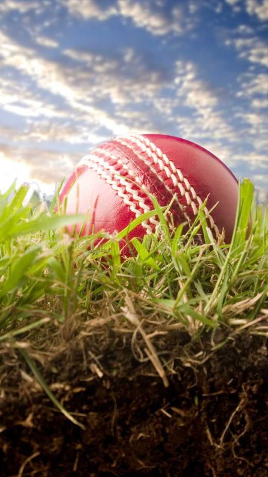 Cricket Wallpapers (47 images) - WallpaperCat