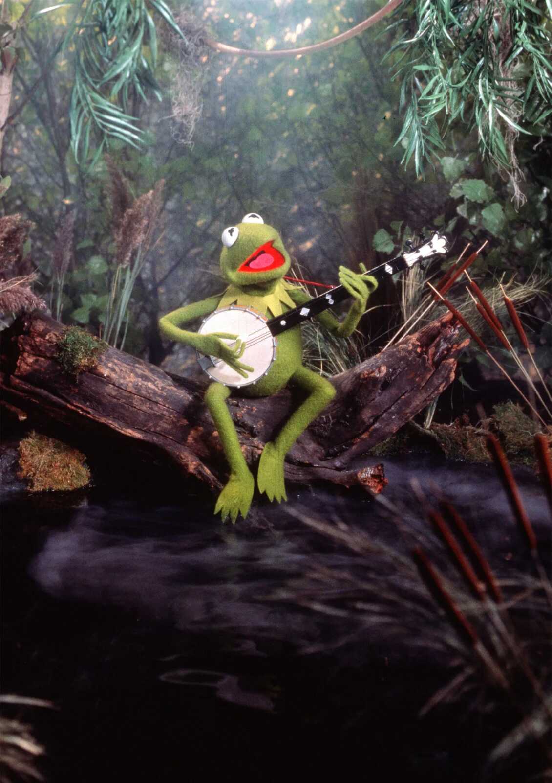 Kermit the Frog Wallpapers (25 images) - WallpaperCat