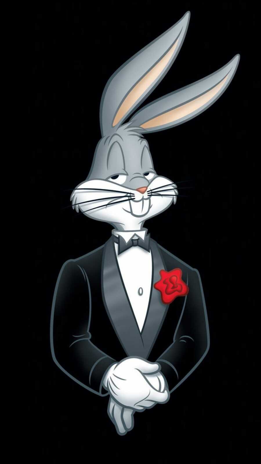 Rabbit Wallpapers (64 images) - WallpaperCat