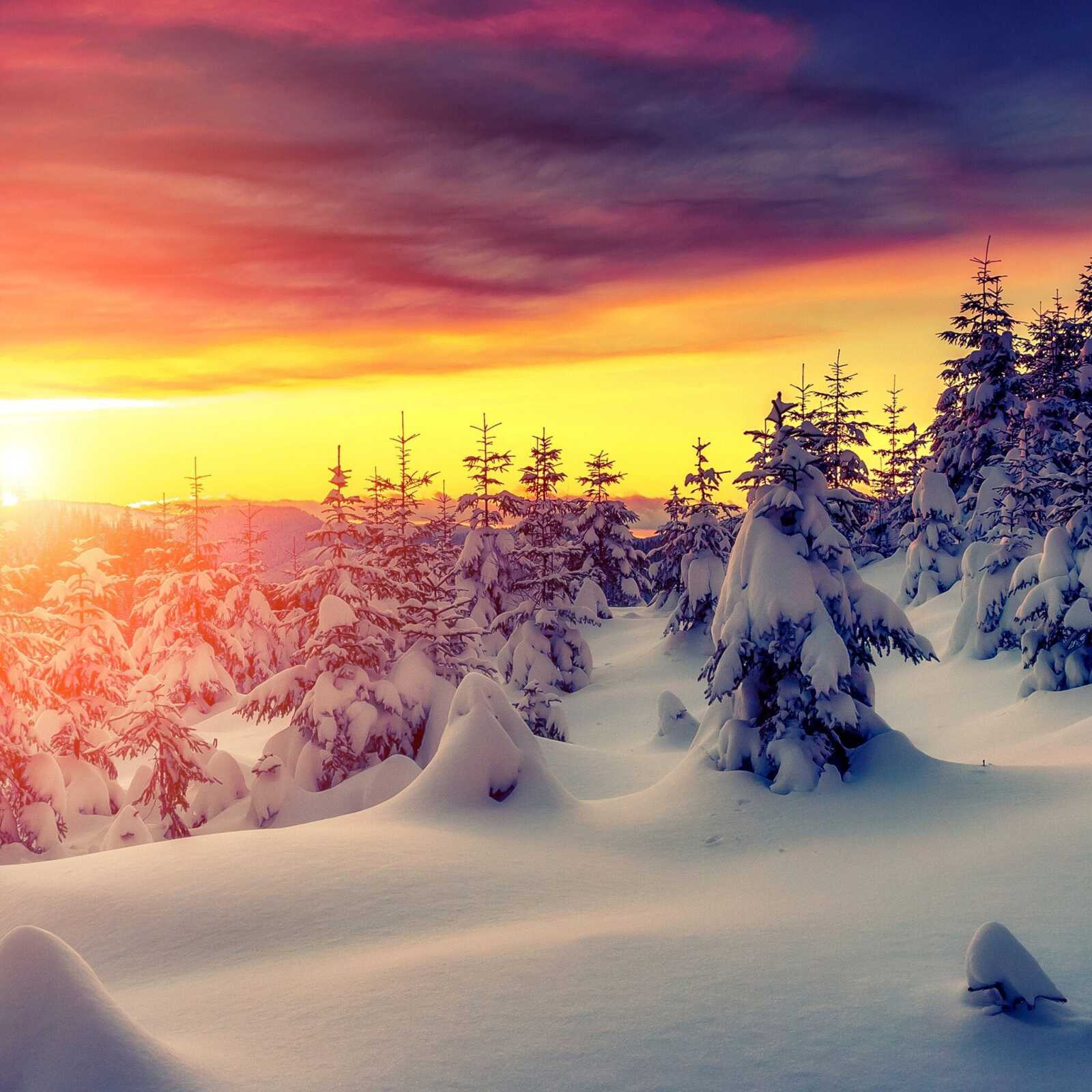 Winter Wallpapers (49 images) - WallpaperCat