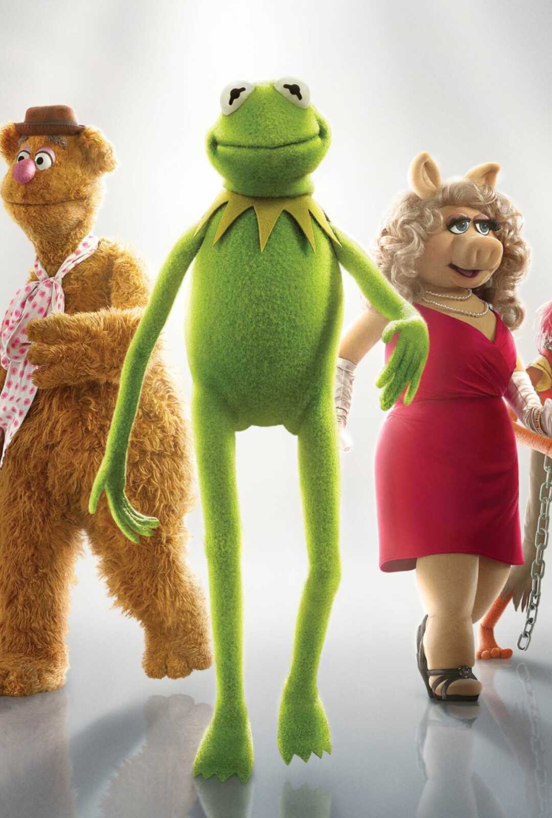 Kermit the Frog Wallpapers (25 images) - WallpaperCat