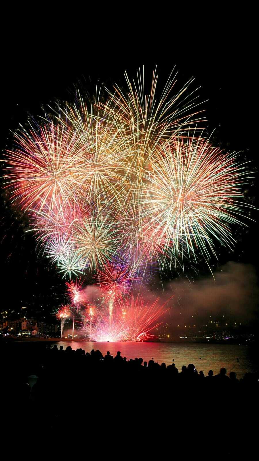 Firework Wallpapers (42 images) - WallpaperCat