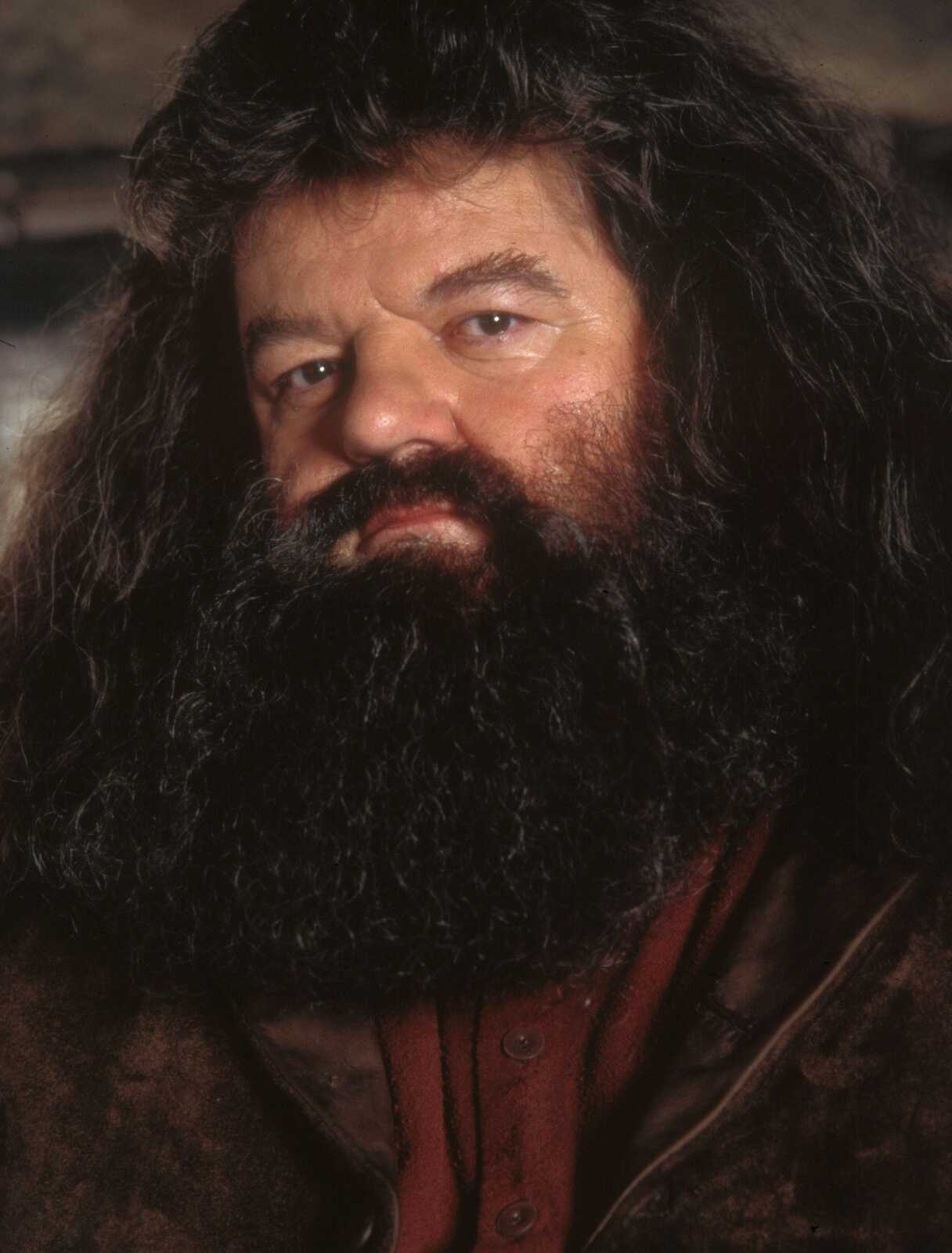 Hagrid Wallpapers (24 images) - WallpaperCat