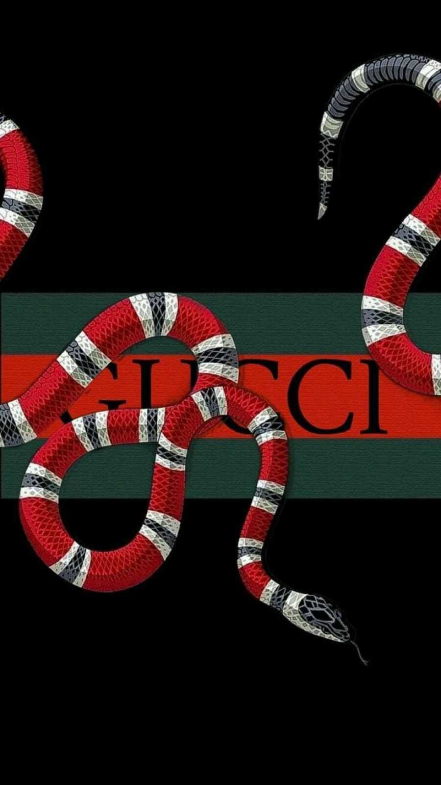 Gucci Wallpapers (51 images) - WallpaperCat
