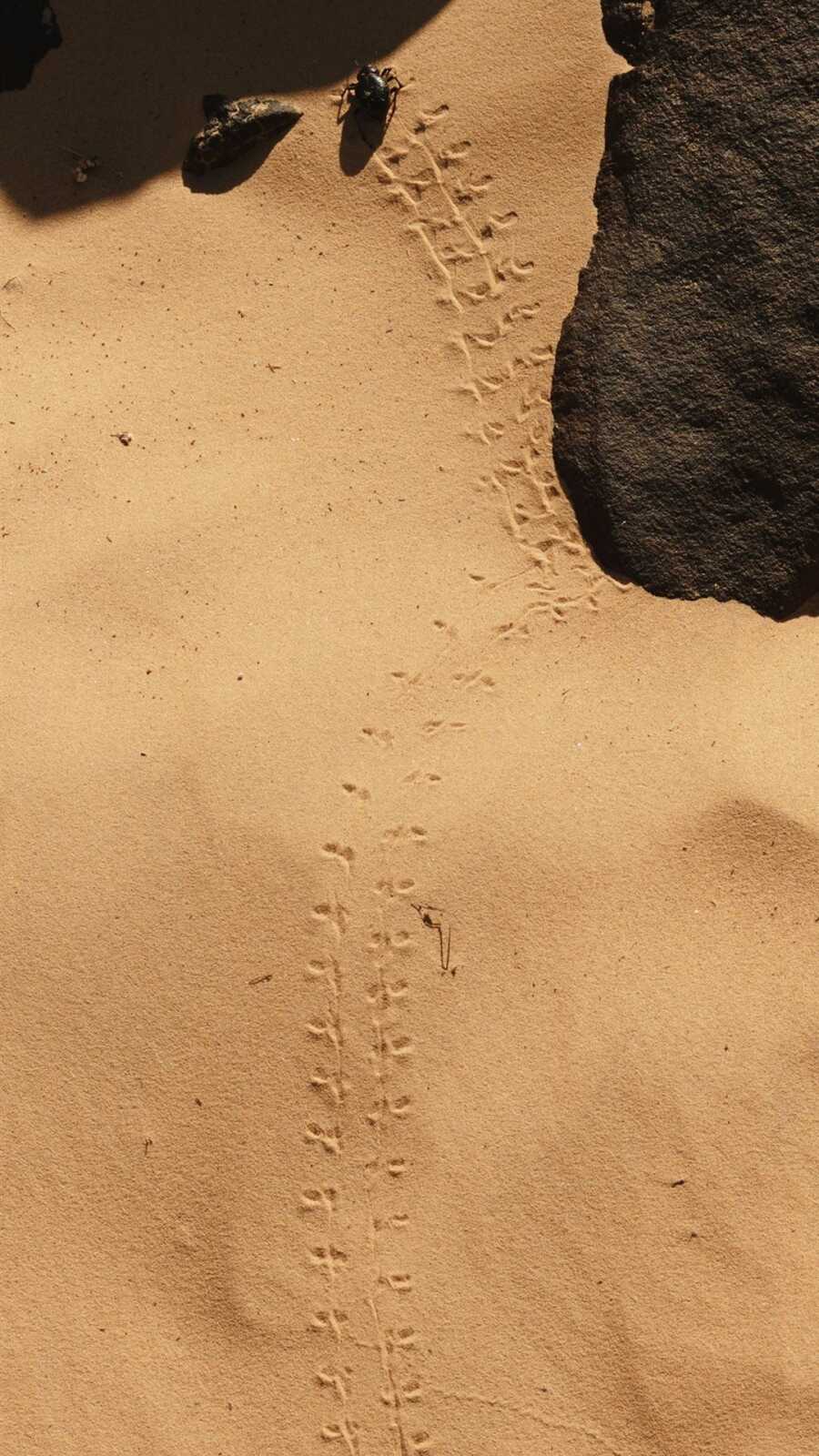 Niger Wallpapers (10 images) - WallpaperCat