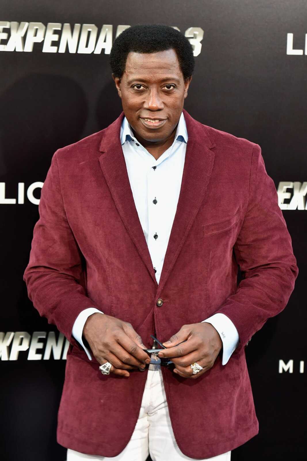 Wesley Snipes Wallpapers (34 images) - WallpaperCat