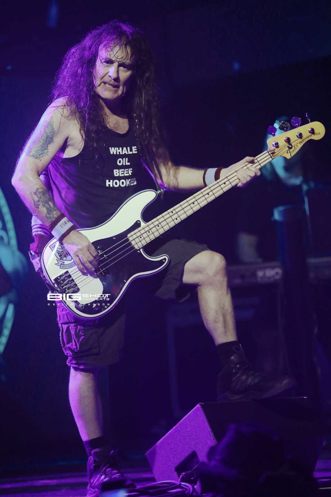Steve Harris (Musician) Wallpapers (11 images) - WallpaperCat