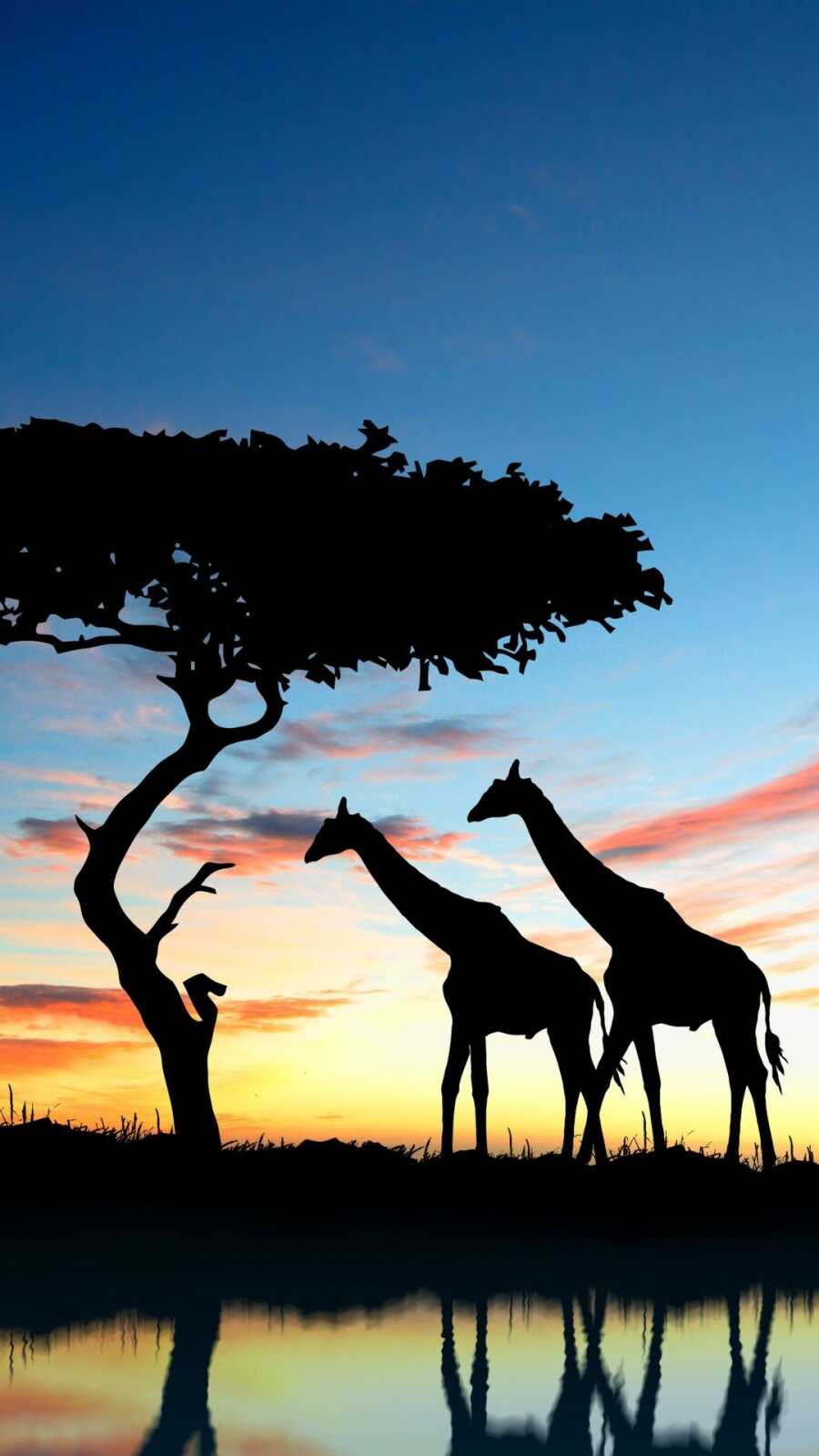 Kenya Wallpapers (40 images) - WallpaperCat