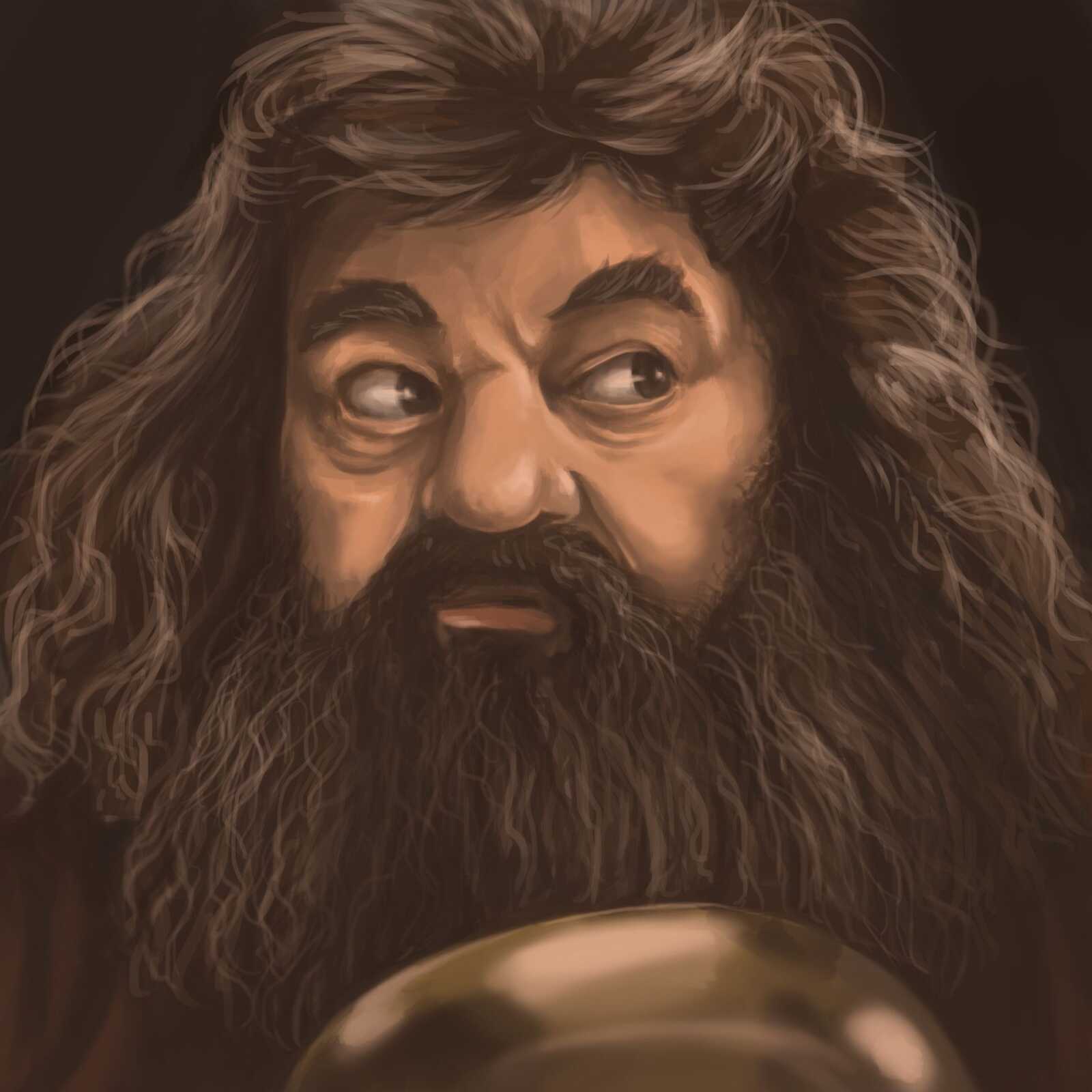 Hagrid Wallpapers (24 images) - WallpaperCat