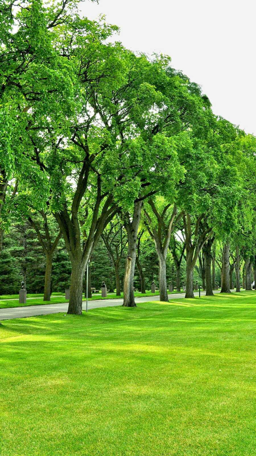 Park Wallpapers (32 images) - WallpaperCat