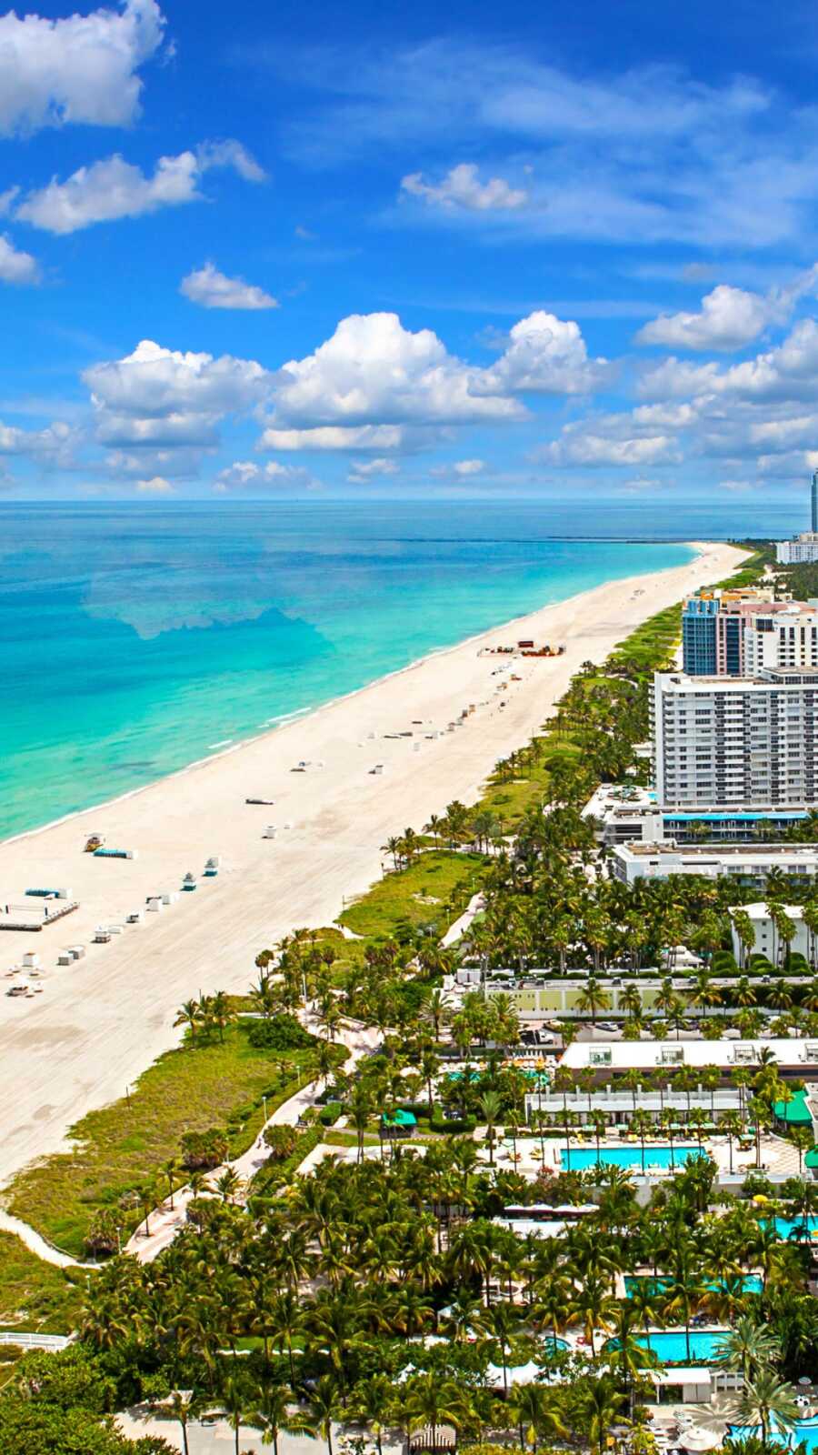 Miami Wallpapers (45 images) - WallpaperCat