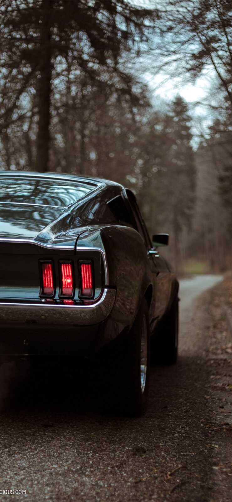 Mustang Wallpapers (70 images) - WallpaperCat