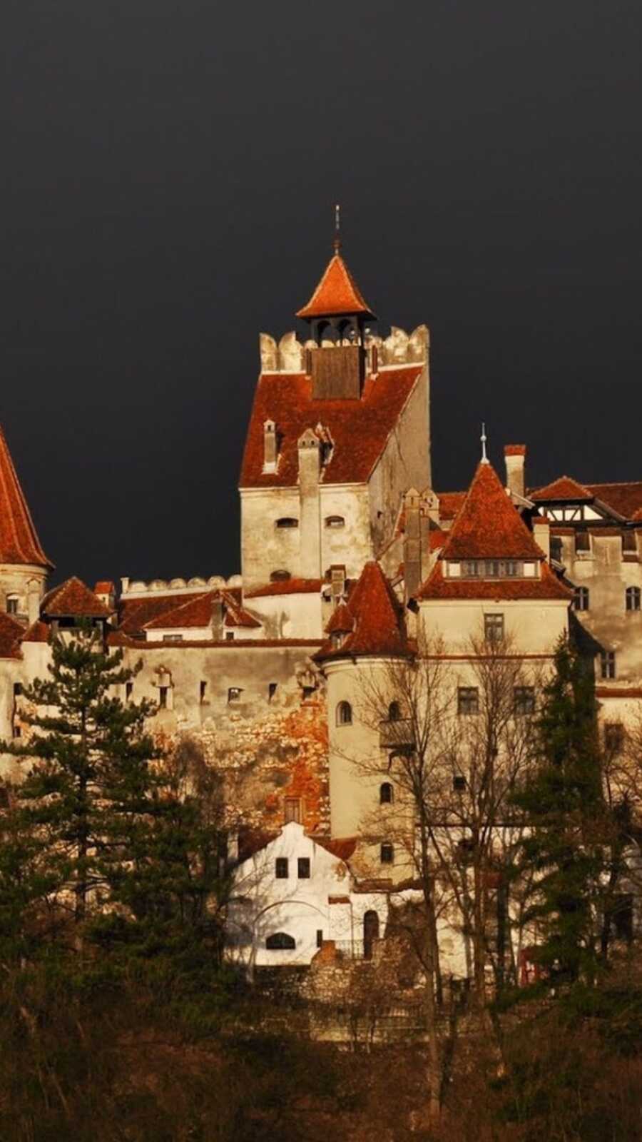 Bran Castle Wallpapers (43 images) - WallpaperCat