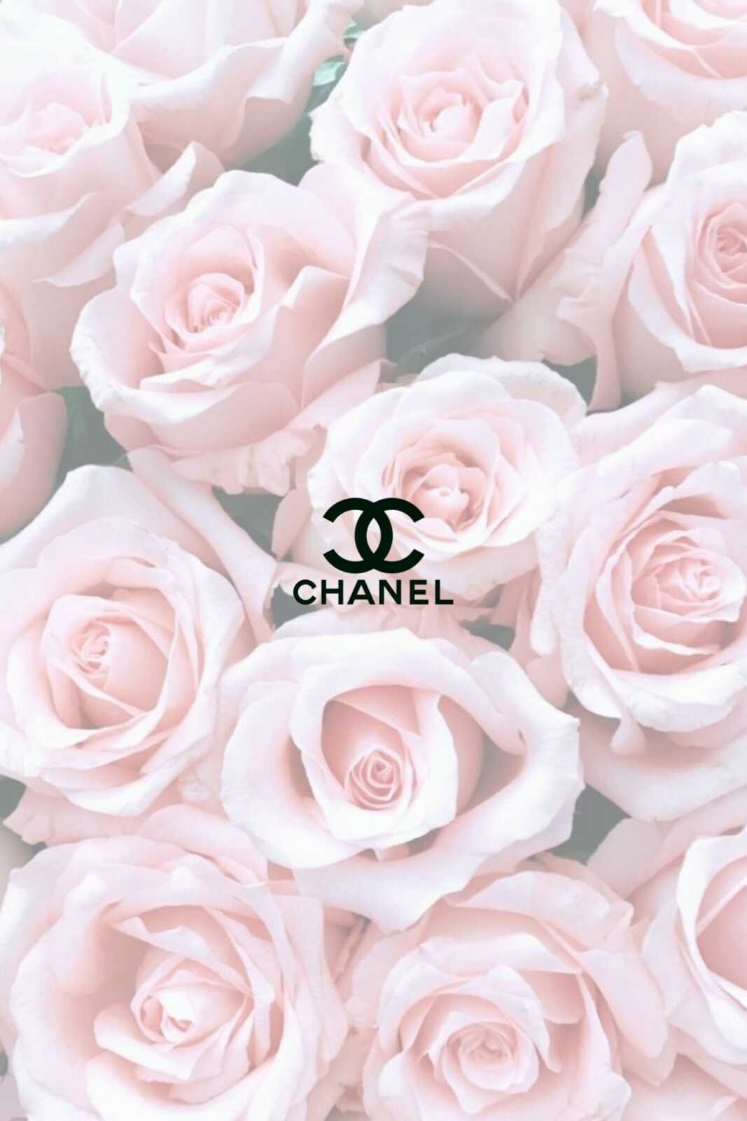 Chanel Wallpapers (44 images) - WallpaperCat