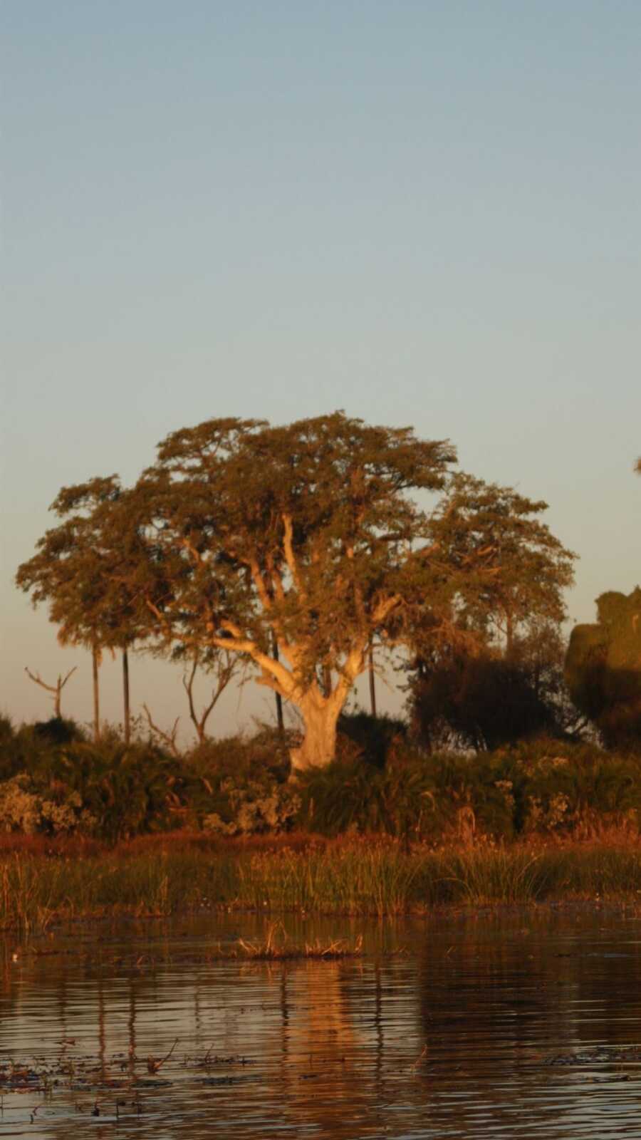 Botswana Wallpapers (55 images) - WallpaperCat